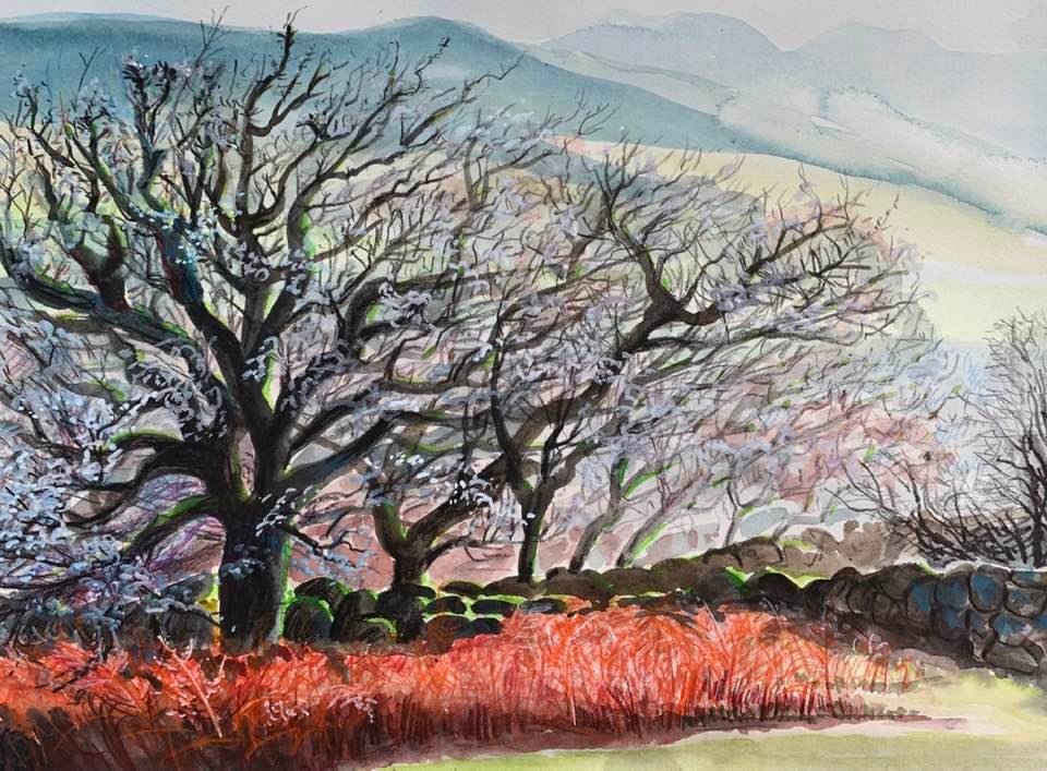 Site is undergoing maintenance